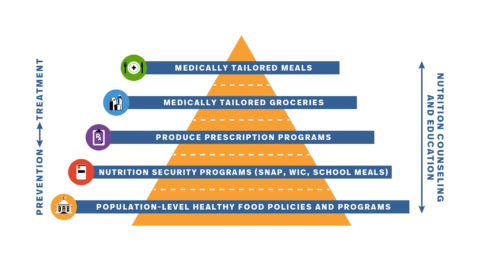 About Us | Food is Medicine